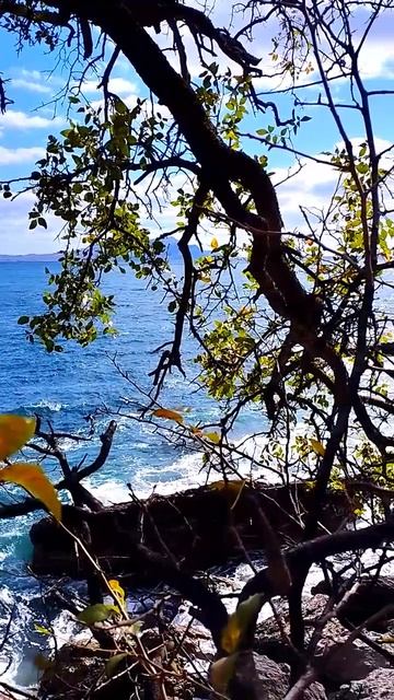 Прогулка к Тропе Голицына. Море волнуется, Дует ветер. Люди гуляют.Сентябрь2025