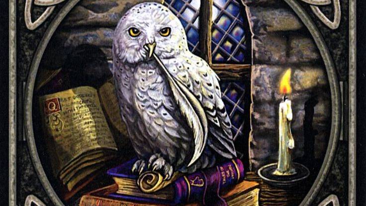 Какие блоки Вам мешают на пути к счастью