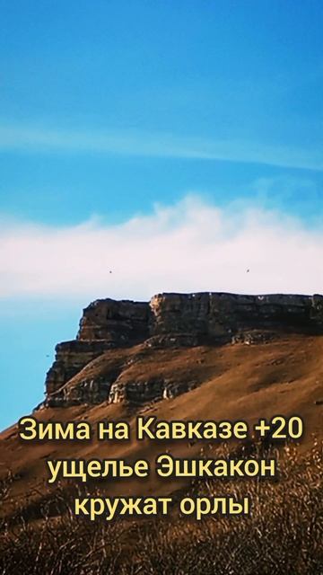 Орлы над скалами Кавказа