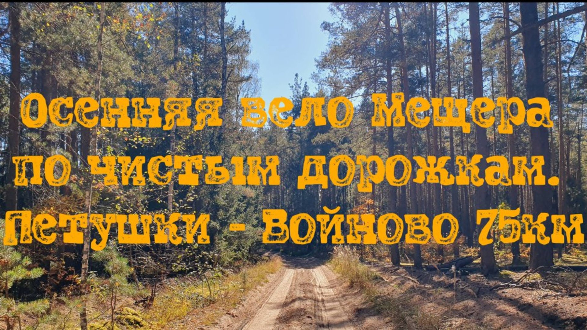 Осенняя вело Мещера по чистым дорожкам. Петушки - Войново 75км