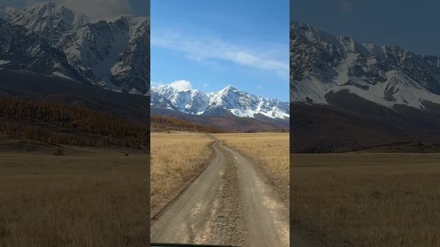 2025 Золотая осень