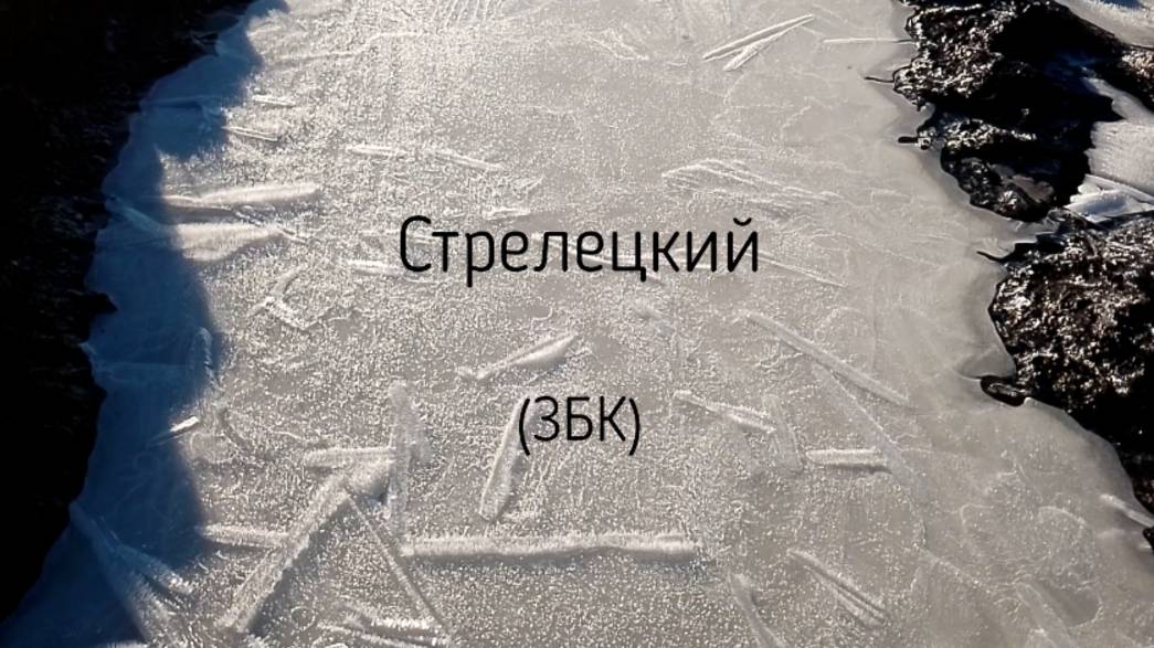 Стрелецкий (ЗБК)