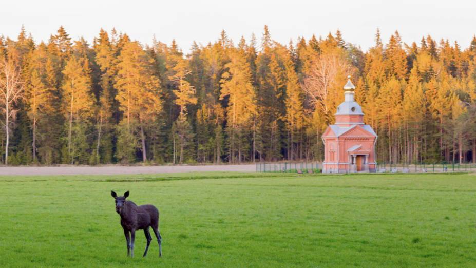 Осенний Валаам | Вместе с Jordan Critz и его треком Starry Night #Валаам #вечнаялюбовь #цитатыолюби