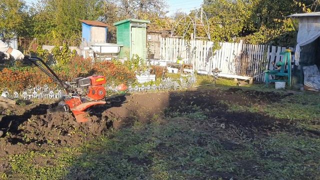 ПОДГОТОВКА К ЗИМЕ//МОЕМ И УБИРАЕМ ВСЕ В ТЕПЛИЦЕ//