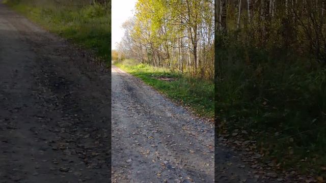 Гуляем)