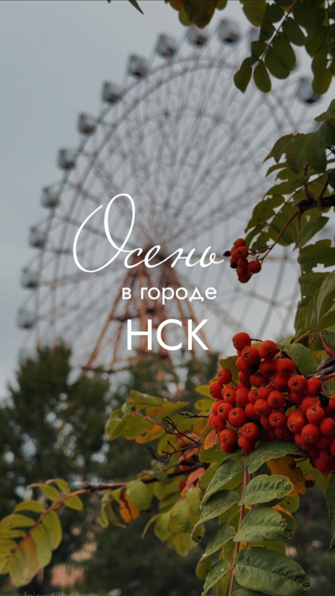 Осень в городе НСК 🍁