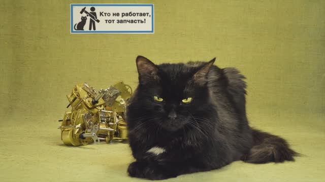 Часовые механизмы самописцев - полная и необратимая разборка.