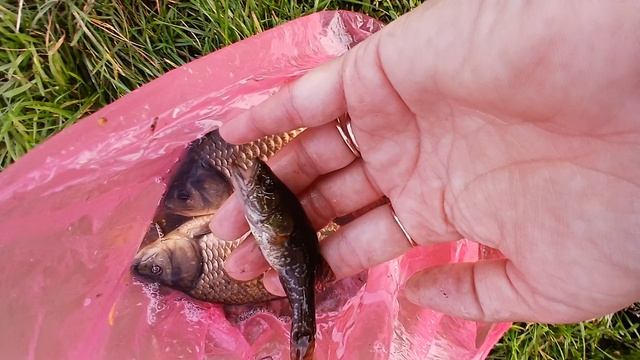 Рыбалка в России, в Прокопьевске в Верх-Егосе. Отдых, Развлечения