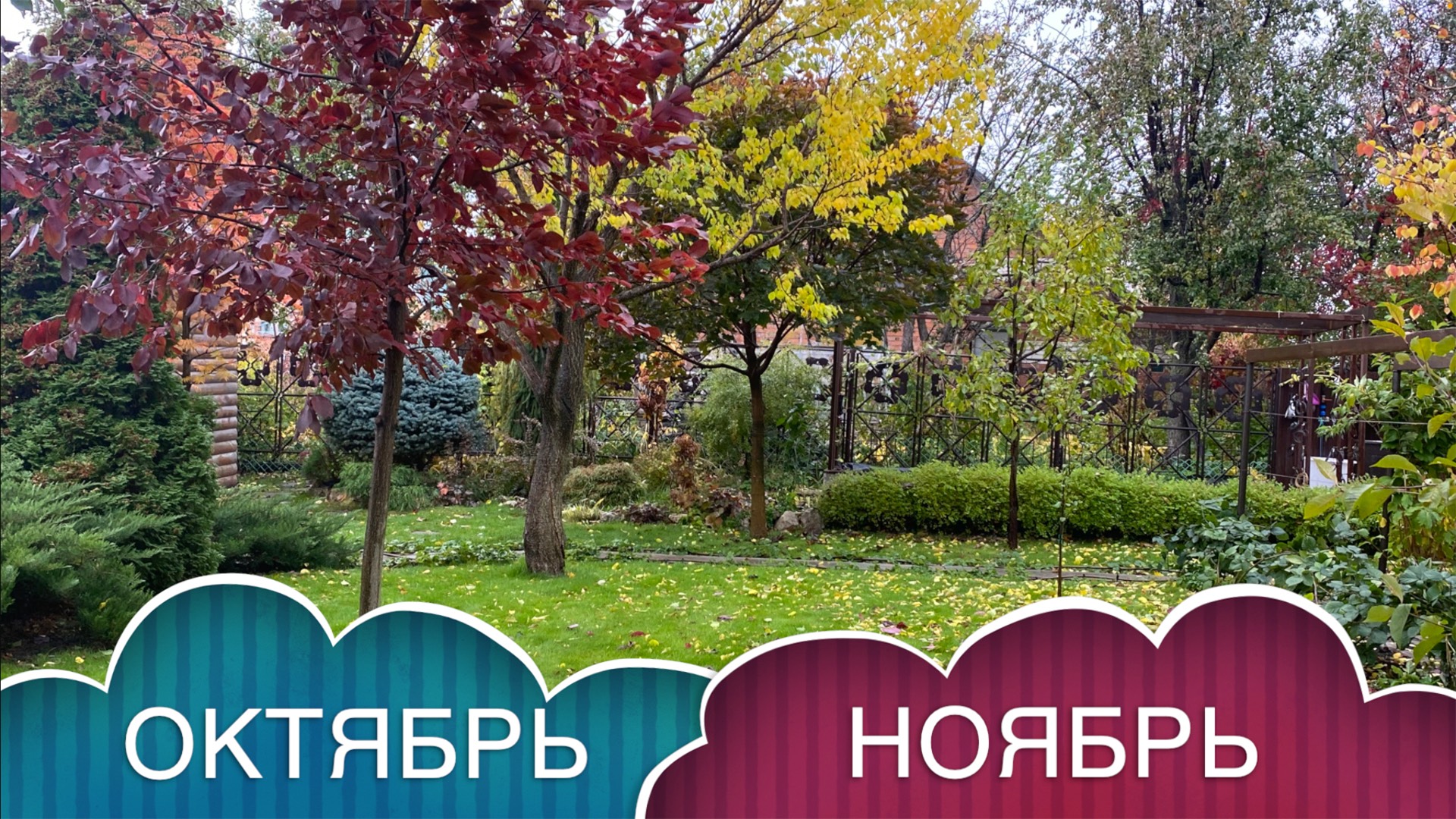 РАБОТЫ ДАЧНИКА В ОКТЯБРЕ-НОЯБРЕ