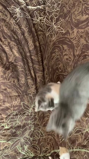 Важное занятие