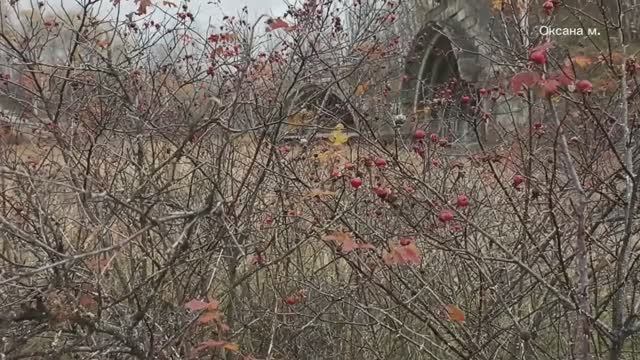 Заброшенный аэродром в Смирных, остров Сахалин