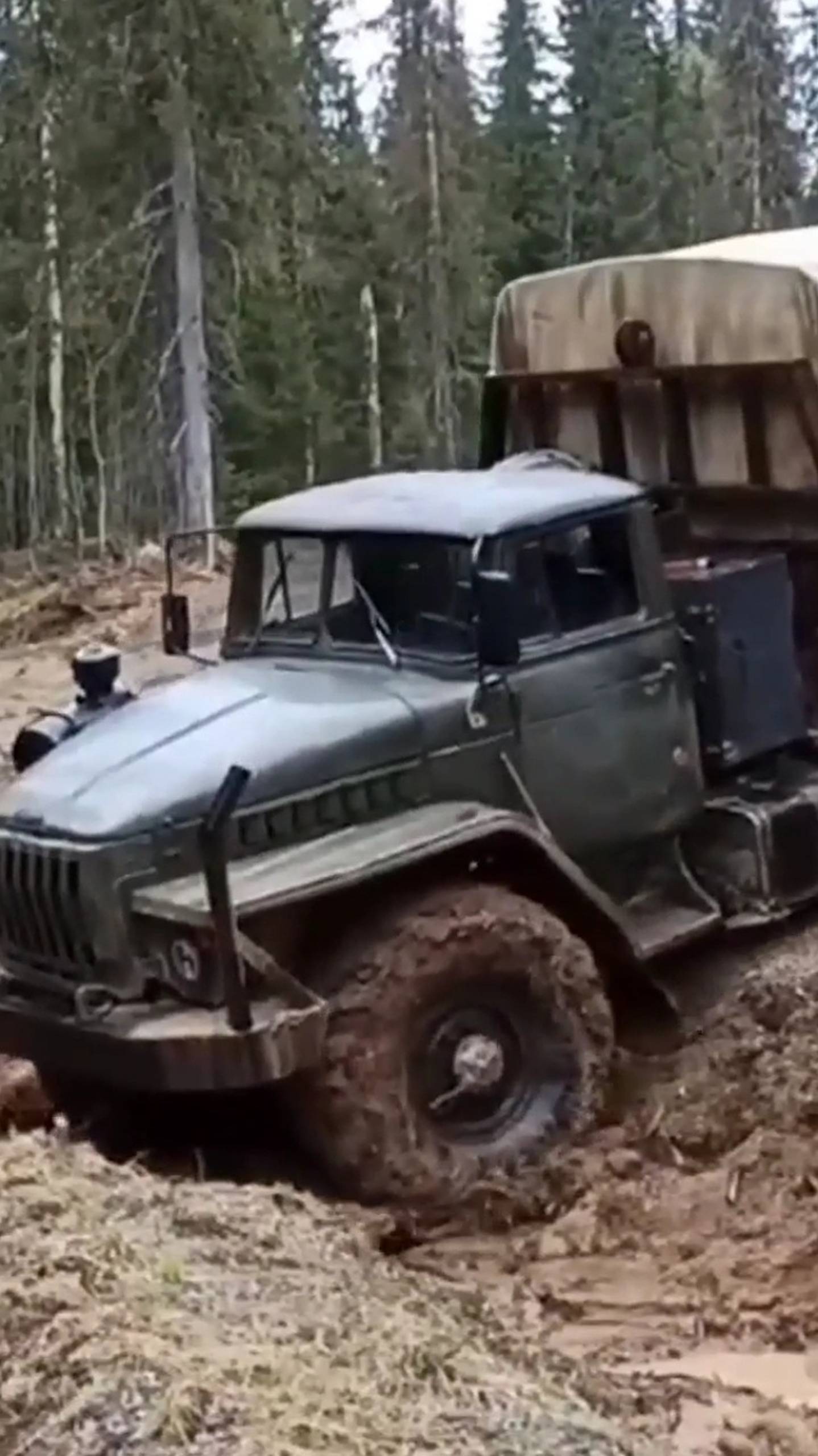 Зверюга 💪