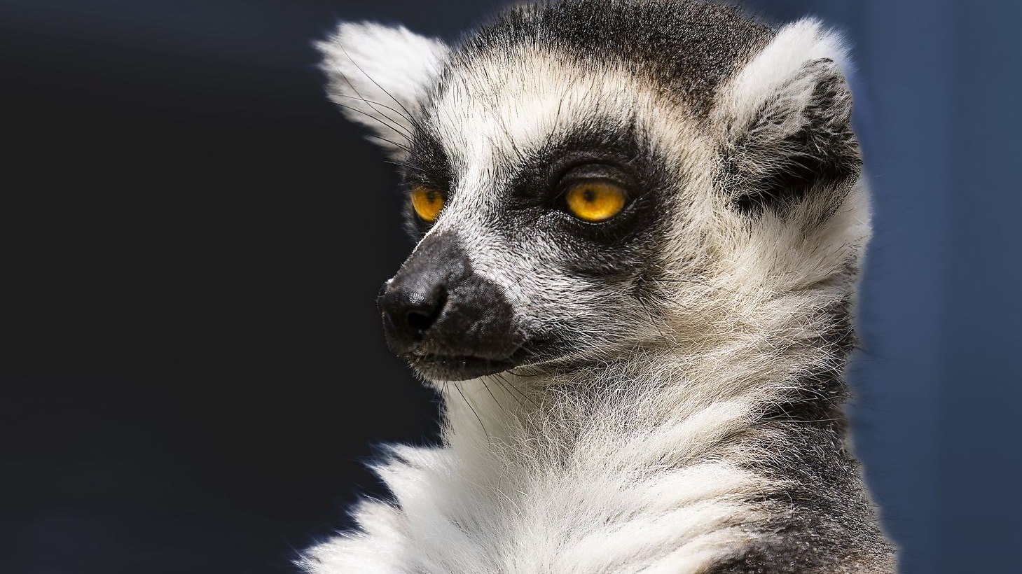 дымок пошел