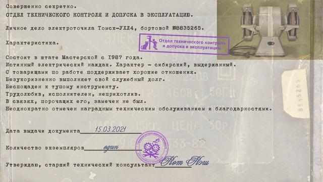 Электроточило Томск-УХЛ4 общий вид и технический паспорт.