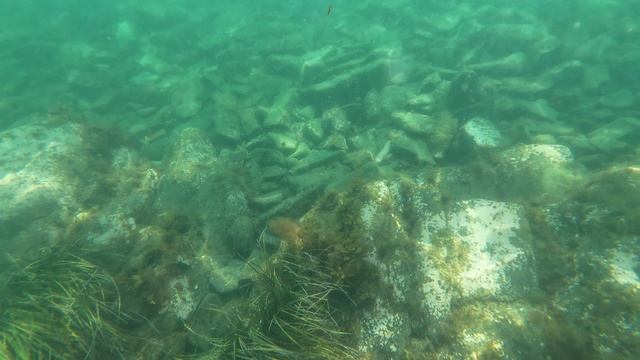 Русский остров, мыс Вятлина, под водой дно-мелко, Владивосток, август 2025.