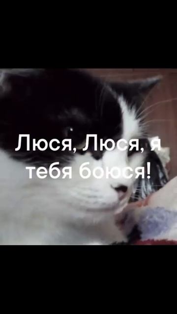 ТОП-32 оживлённых фото с помощью Алисы