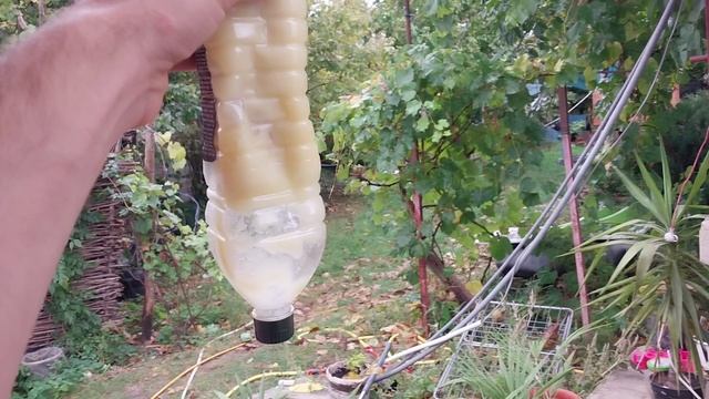 Что будет с растительным маслом в холодильнике!