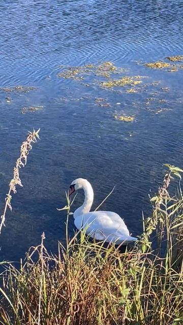 Первый день октября