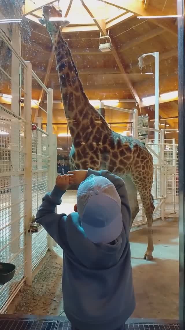 Московский зоопарк, лето 2023