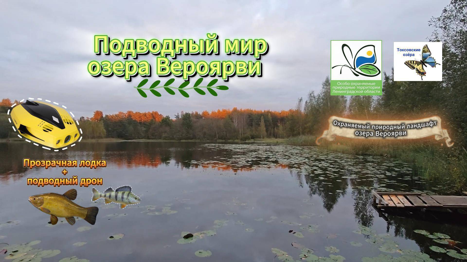 Озеро Вероярви: что скрыто не дне? Подводный дрон + лодка с прозрачным дном