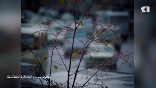 СПЕЦИАЛЬНЫЙ РЕПОРТАЖ. Звуки осени.