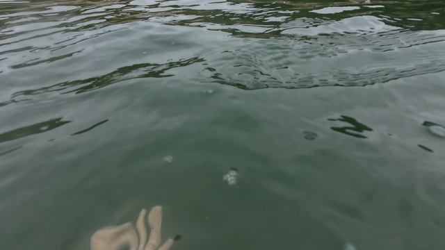 Находка Читувай пляж дно, Находка, август 2025.