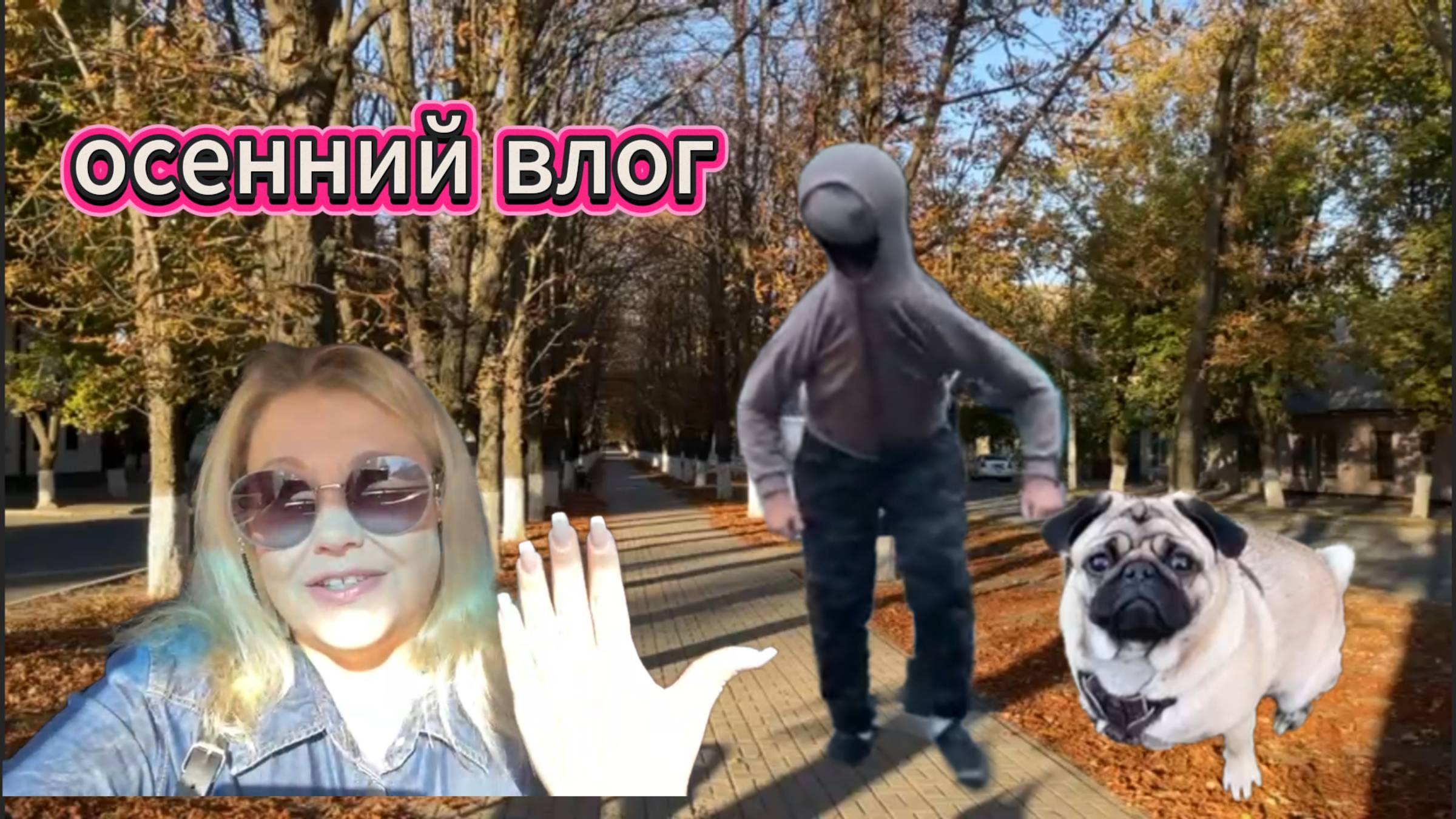 ВЛОГ \\ ДОМАШНИЕ ХЛОПОТЫ \\ ОПЯТЬ НА ДАЧУ \\ ПРОДУКТОВАЯ КОРЗИНА \\