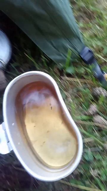 Походный чай из придорожных трав