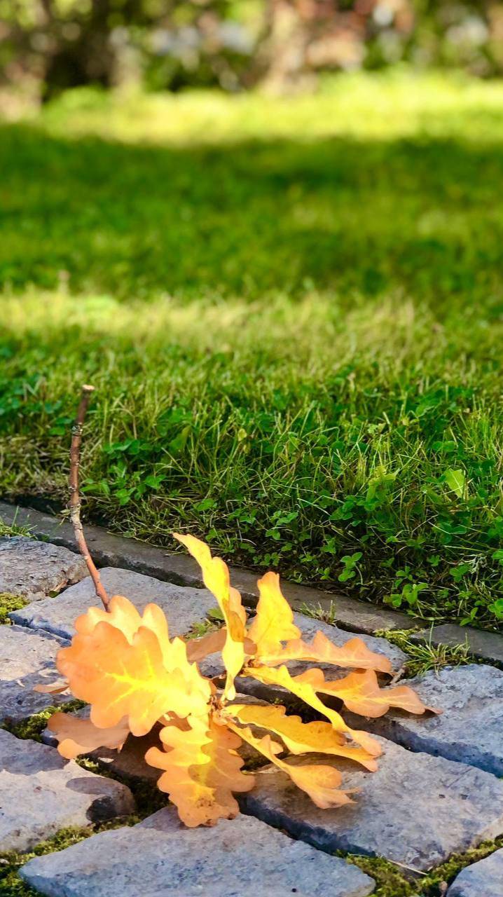 ЦИТАТЫ О ЛЮБВИ | ПРТ ВАЛЕНТИН СВЕНЦИЦКИЙ (1881 - 1931) #вечная_любовь #цитаты_о_любви