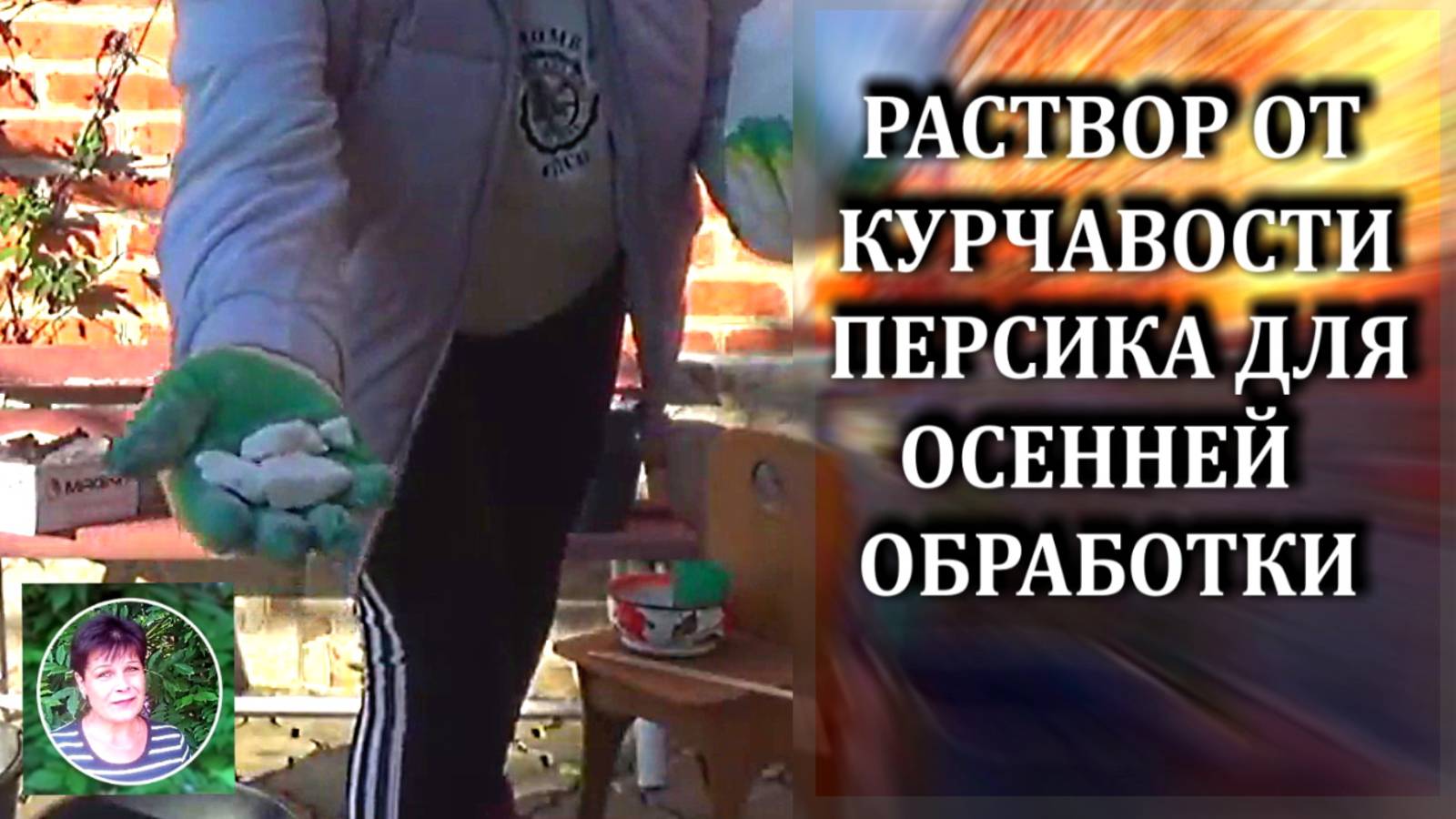 Готовлю раствор для осенней обработки персика от курчавости. Открываю все секреты