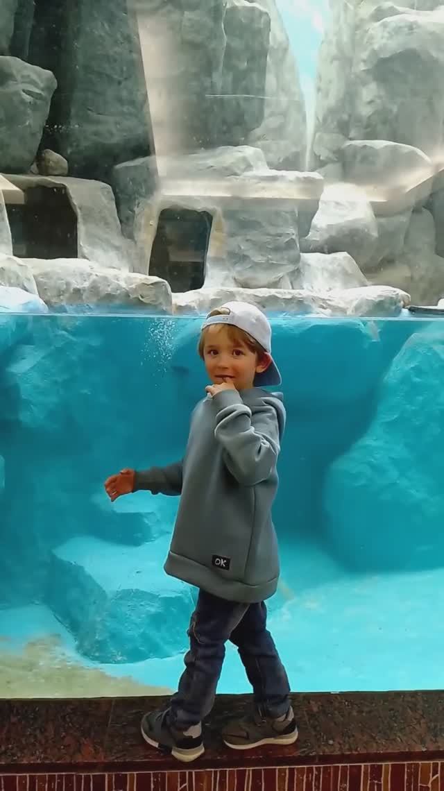 Московский зоопарк, лето 2023