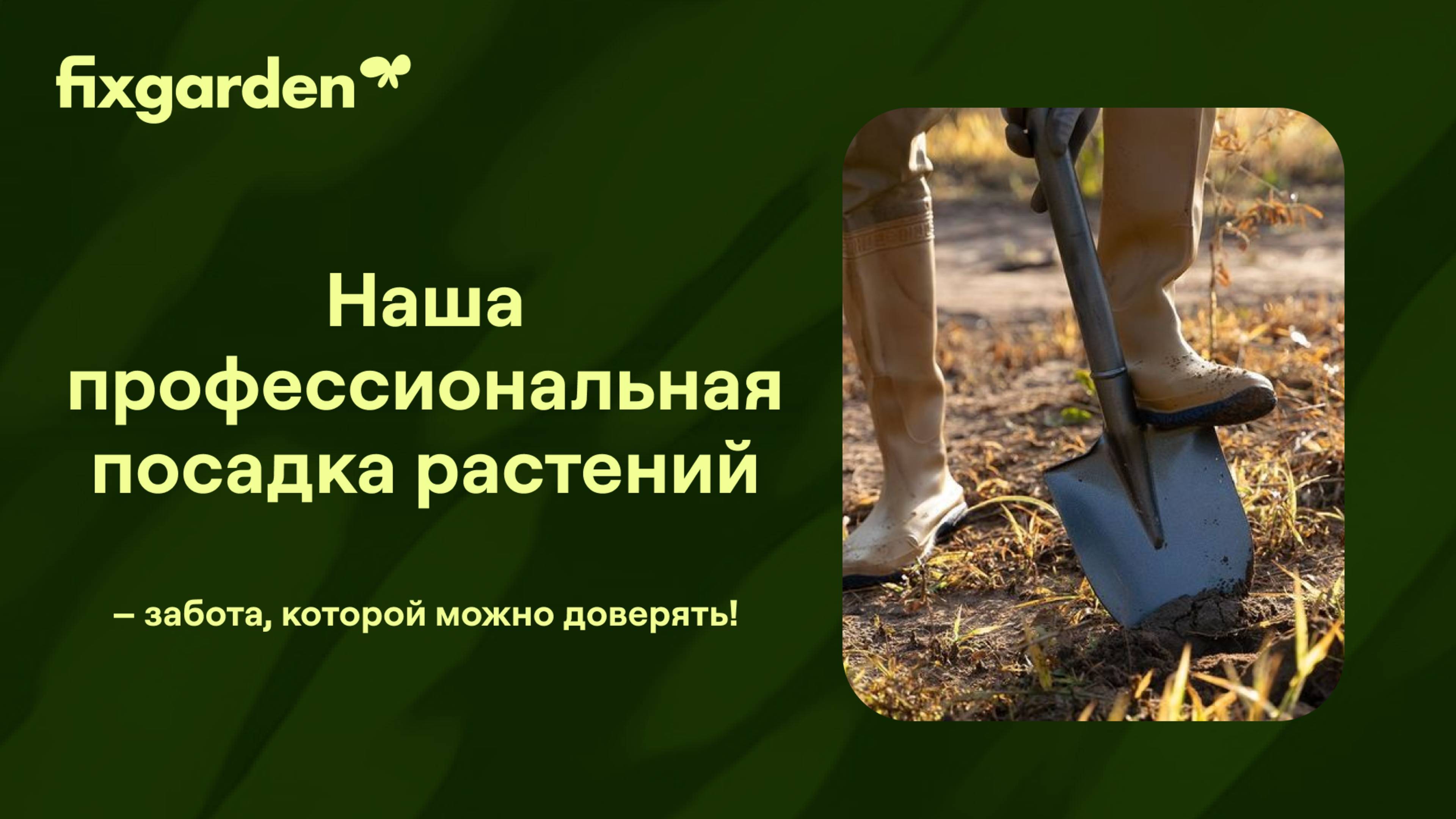 Профессиональная посадка растений – забота, которой можно доверять!