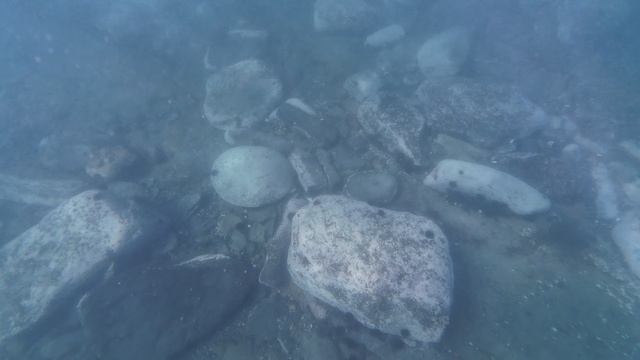 Русский остров, мыс Вятлина, под водой ежики, звезды, Владивосток, август 2025.