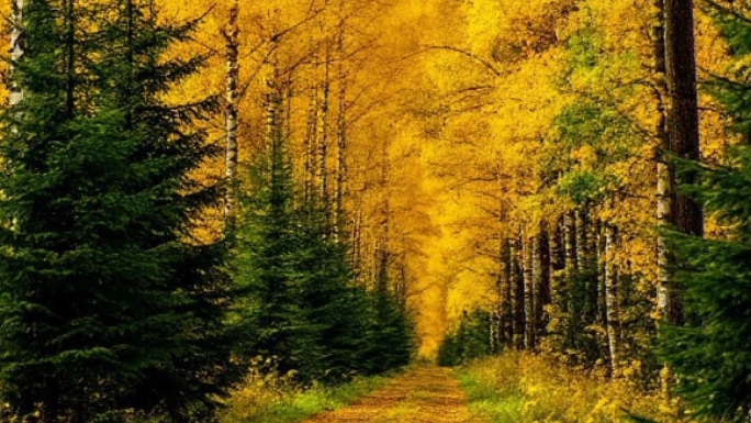 02-10-2025 Распаковка Сажаем Аватар