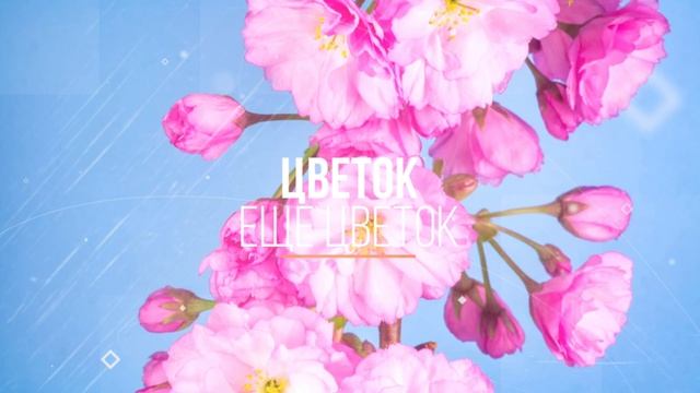 Японская поэзия. Хокку