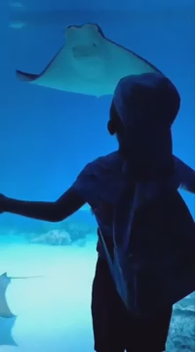 Москвариум, ВДНХ, весна 2023