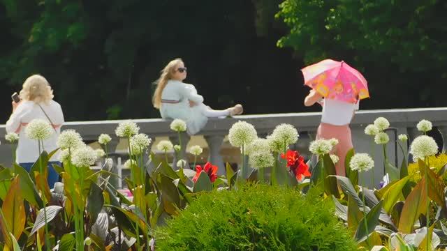 Парк Горького за полчаса до ливня