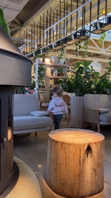 #2 года10 месяцев