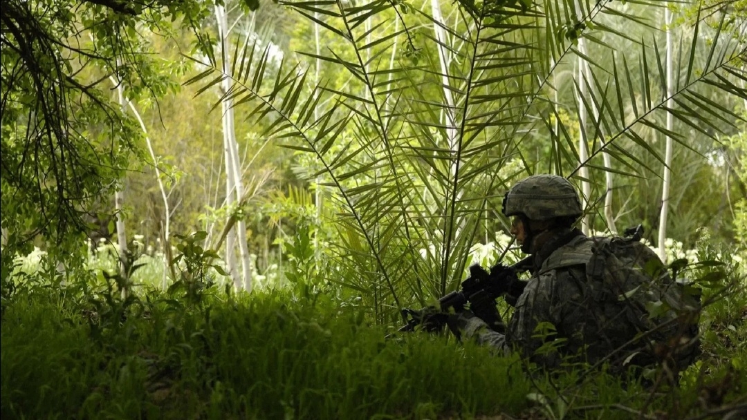 Воскреска #8 страйкбол-враждебный лес