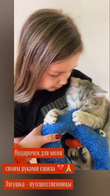 «Подушка-лягушка: рукоделие Сони»