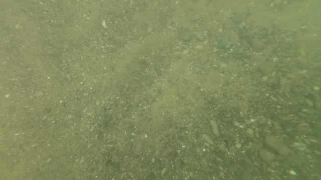 Находка - пляж Читувай дно, песок, Находка, август 2025.