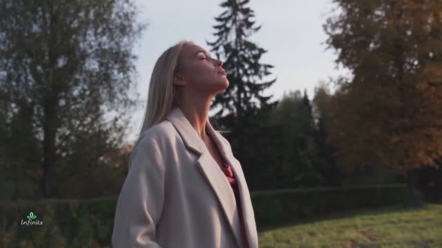 Золотая осень в лесу