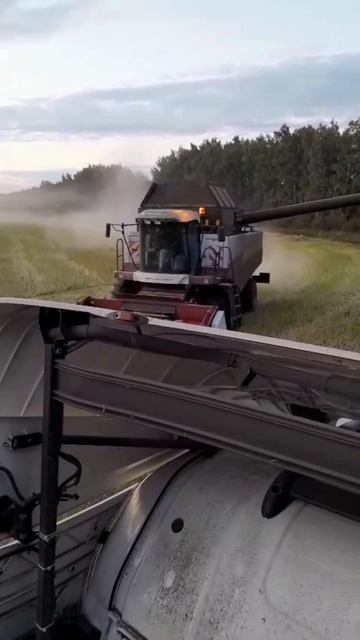 Алюминиевый полуприцеп зерновоз SAT500 d hf,jnt