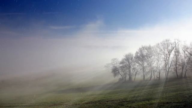 Летний дождь