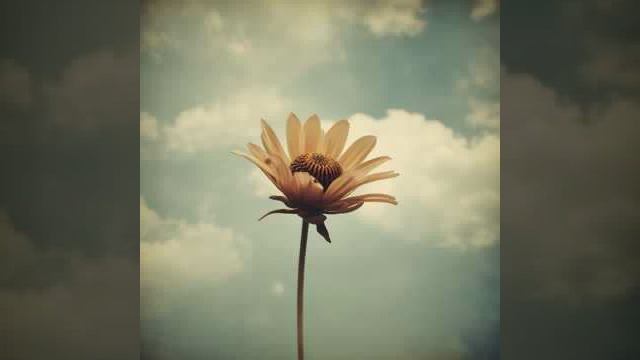 Тарас Шевченко — Тяжко-важко в світі жити_. (вар2)