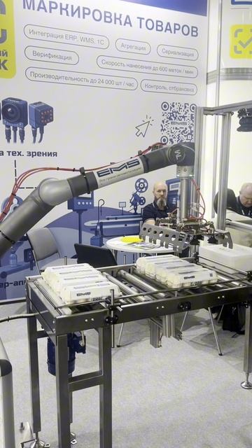 Робот внутритарной укладки системы EMS Robot