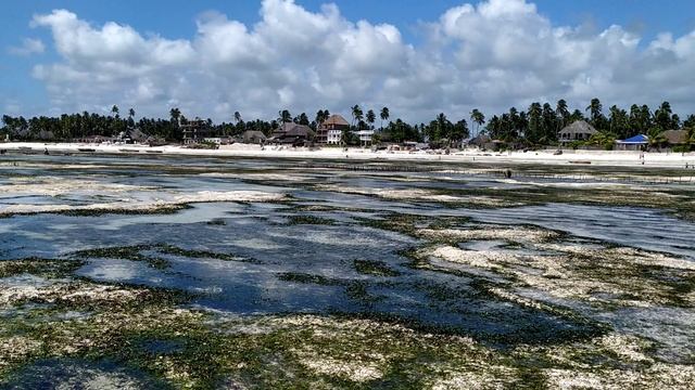 Ушли далеко от берега!