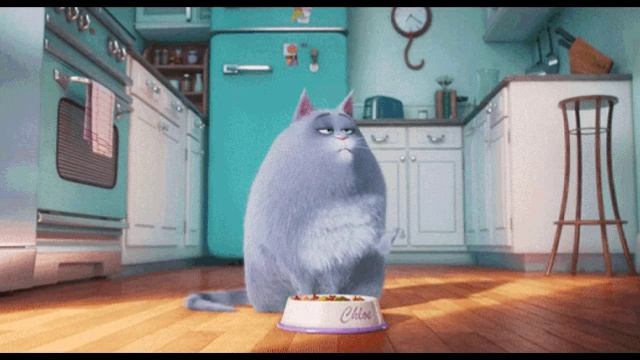 Клип_Гиджет_&_Хлоя_бал_моих_подруг.__SD 360p_MEDIUM_FR30