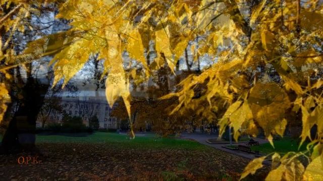 МЫ ВЧЕРА ПРОСТИЛИСЬ С СЕНТЯБРЁМ