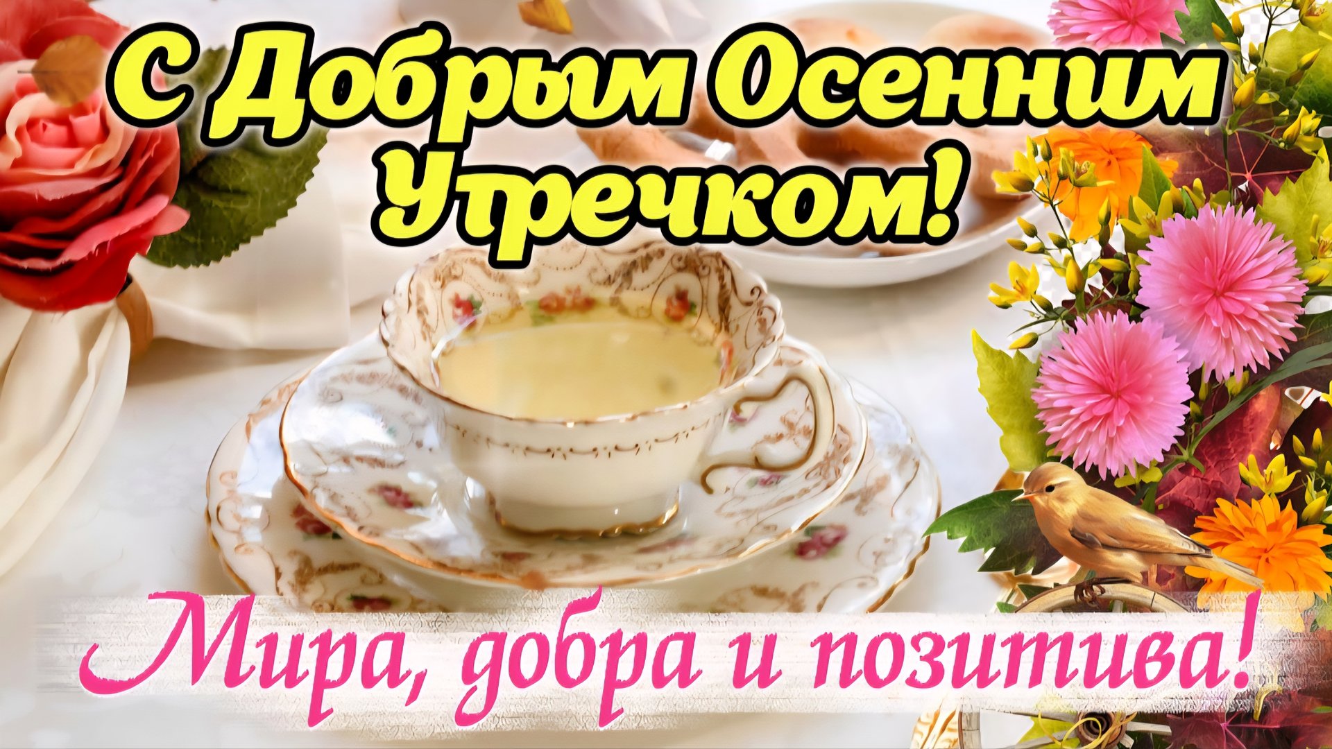 🍁 Осеннее Доброе утро 🌅 Красивое видео поздравление с началом дня